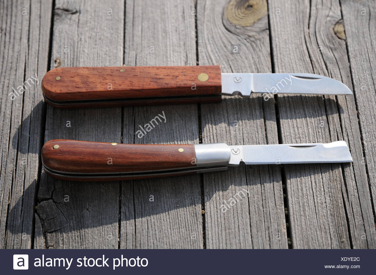 Grafting Knife High Resolution Stock Photography and Images - Alamy