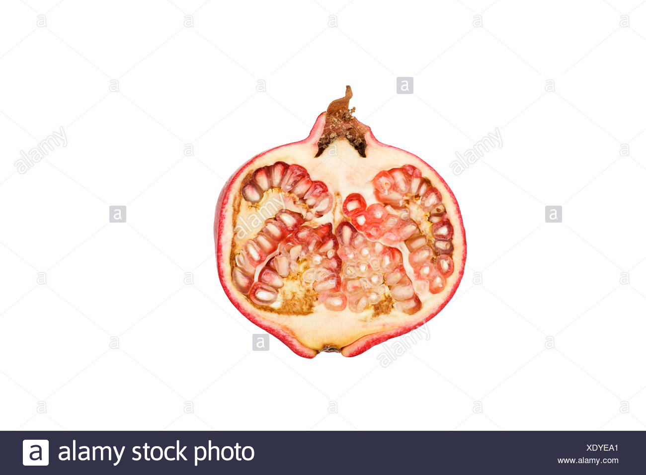 Pomegranate Cross Section High Resolution Stock Photography and Images ...