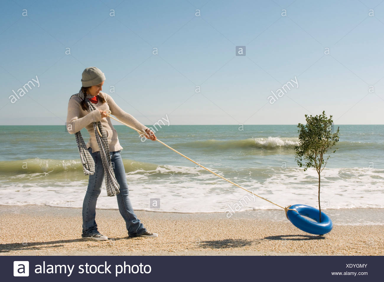 Pulling Trees High Resolution Stock Photography and Images - Alamy