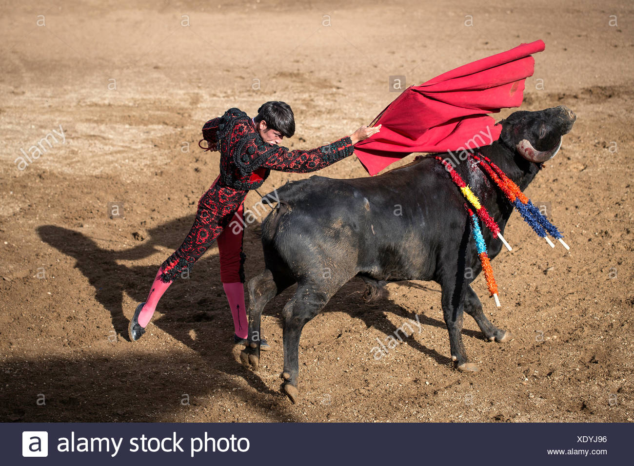 Bullfighting Red Cloth Stock Photos & Bullfighting Red Cloth Stock ...