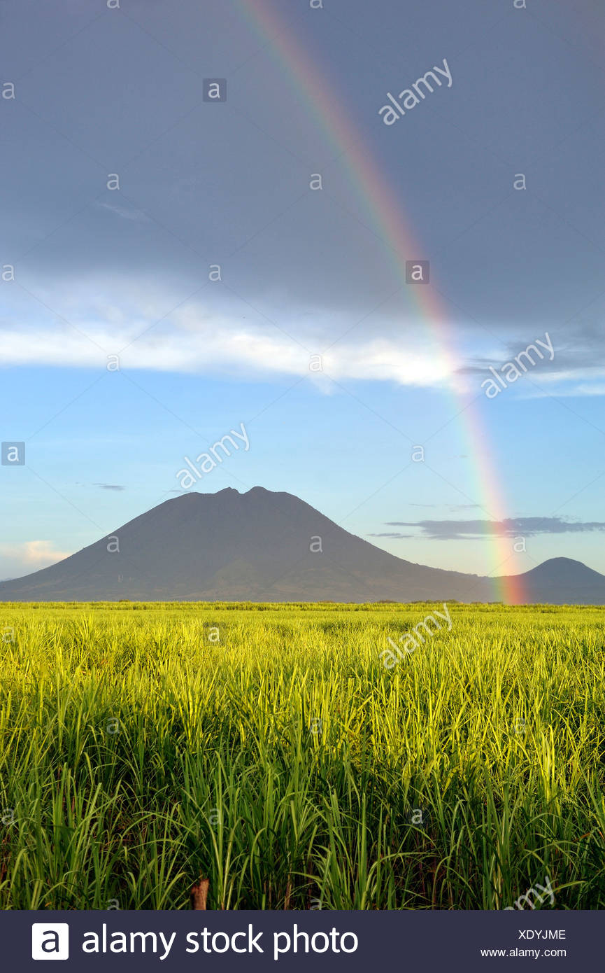 Fields Full Of Crops High Resolution Stock Photography and Images - Alamy