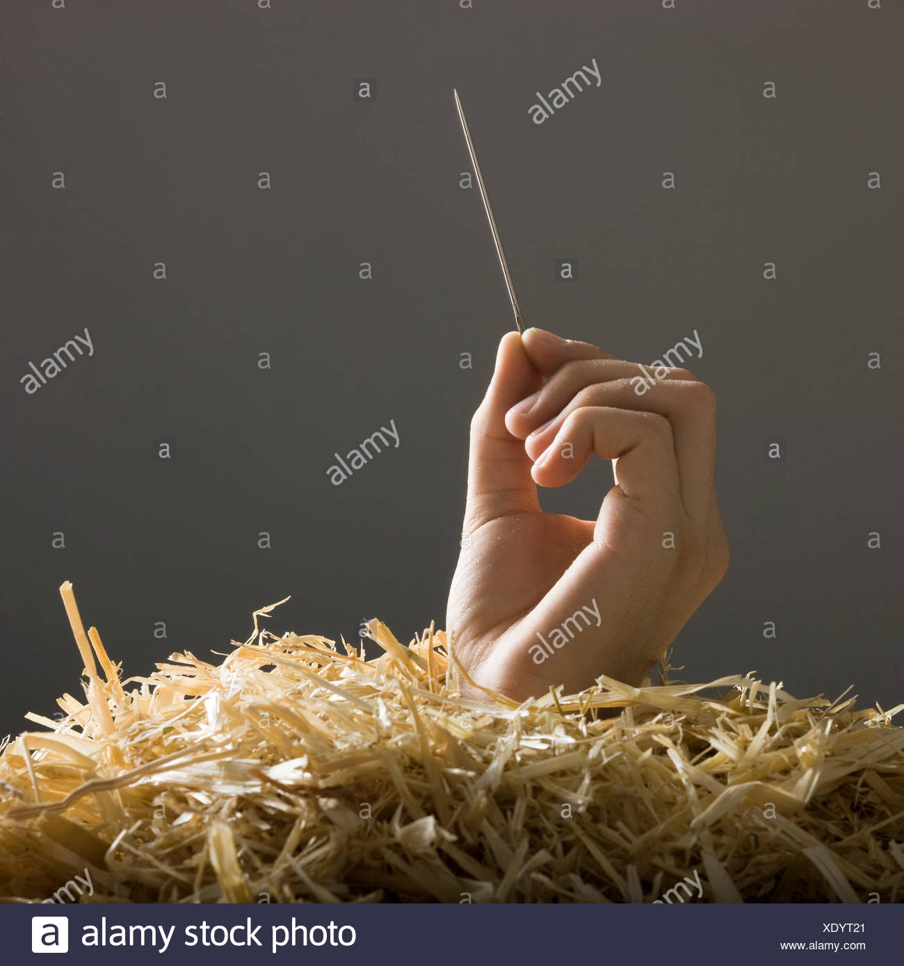 Needle In Haystack High Resolution Stock Photography and Images - Alamy