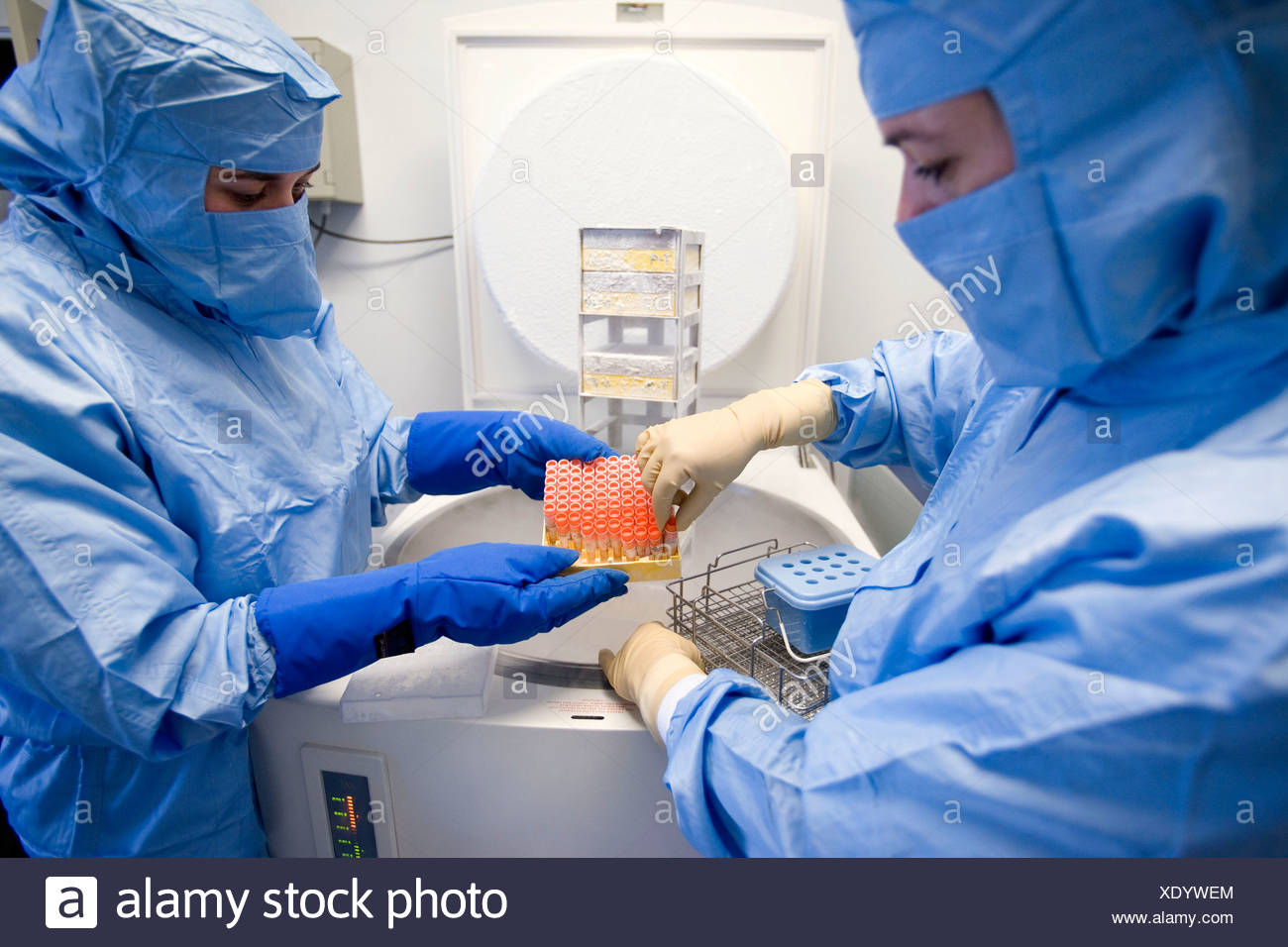 Cryogenics And Nitrogen High Resolution Stock Photography and Images ...