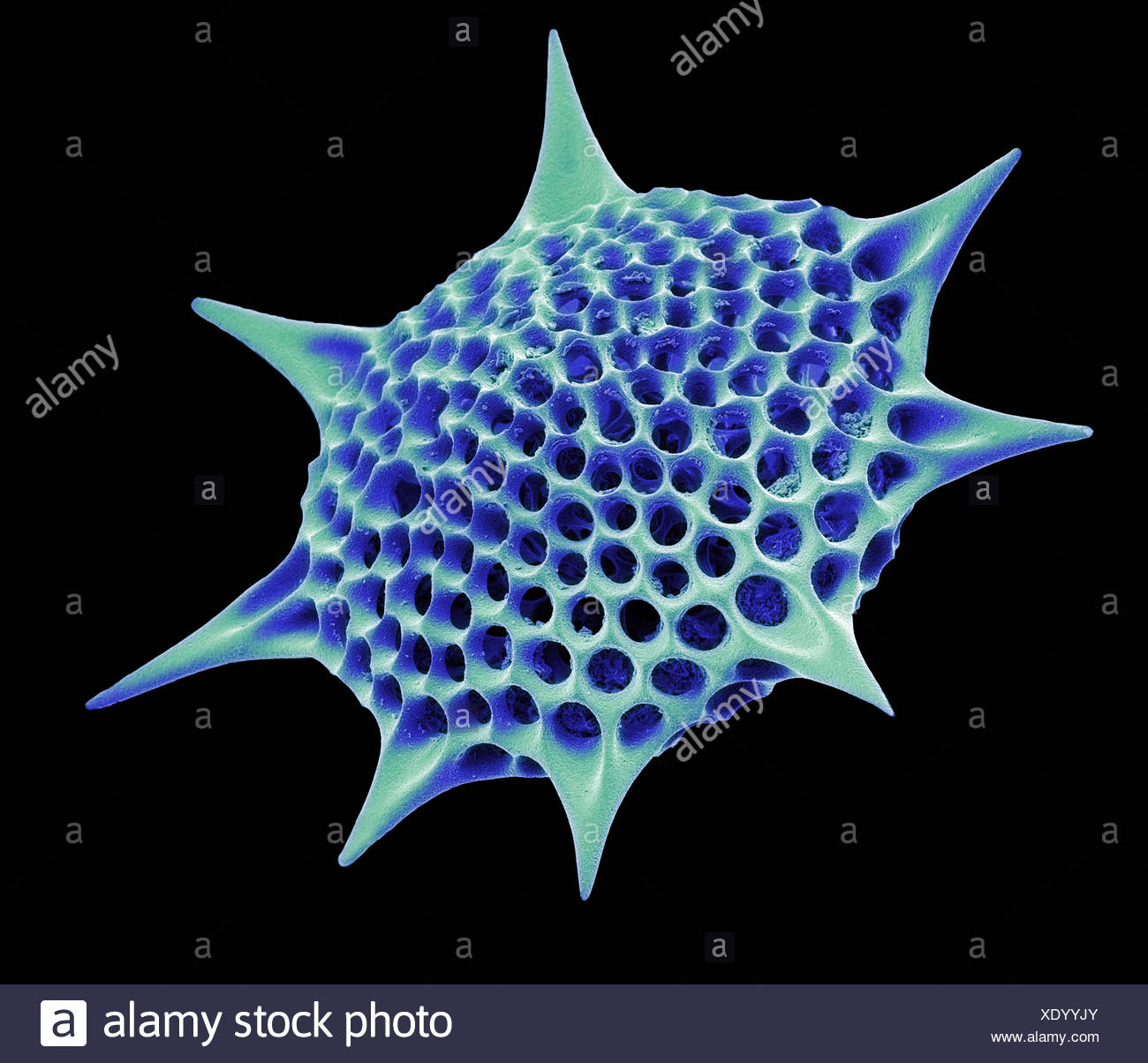 400x Stock Photos & 400x Stock Images - Alamy