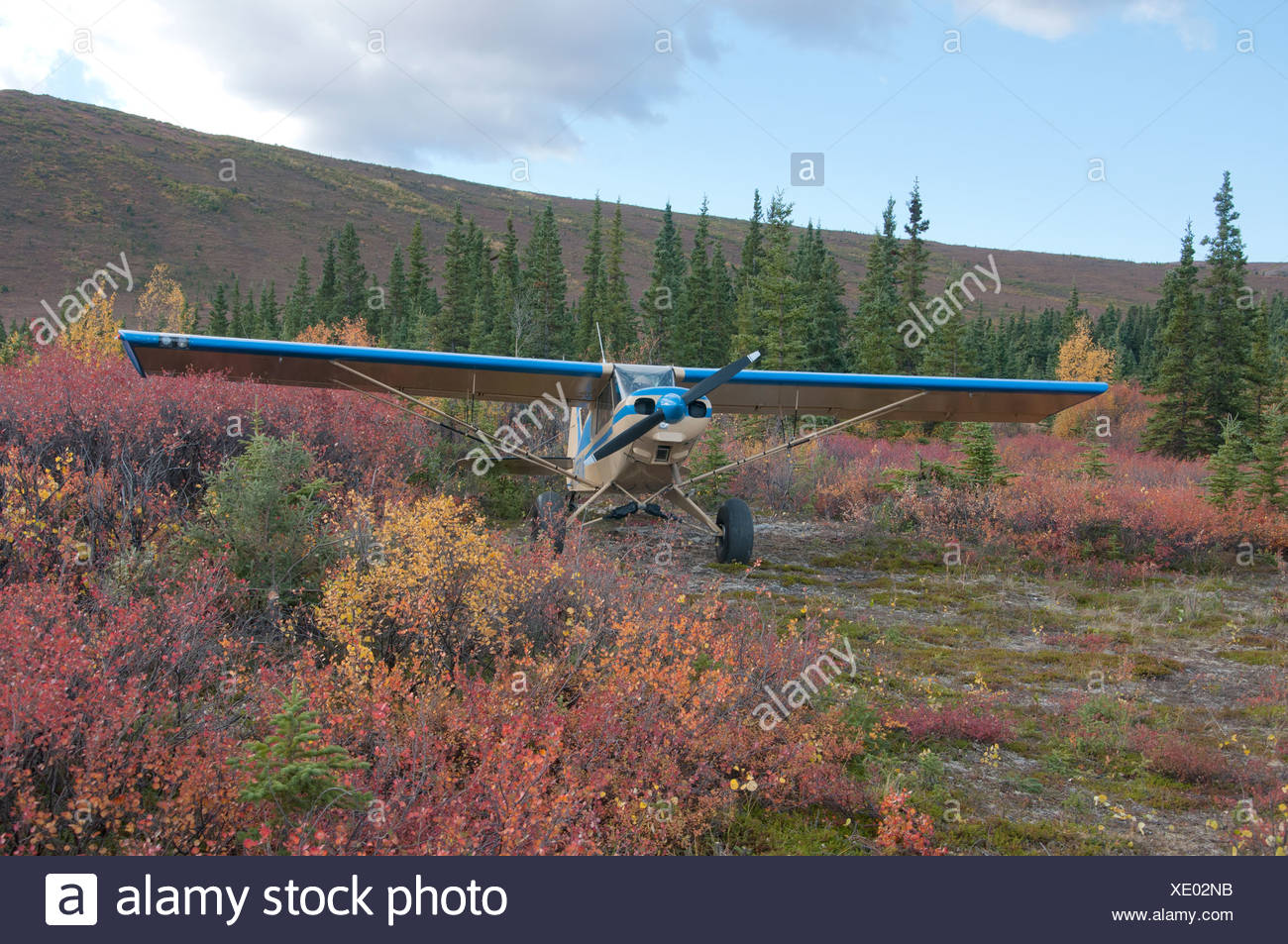 Piper Super Cub Bush Plane Stock Photos & Piper Super Cub Bush Plane ...