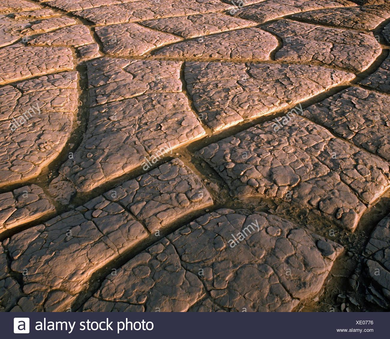 Death And Desiccation High Resolution Stock Photography and Images - Alamy