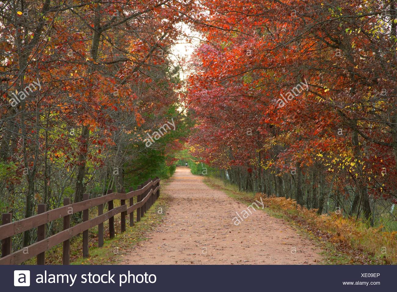 Bearskin State Trail High Resolution Stock Photography and Images - Alamy