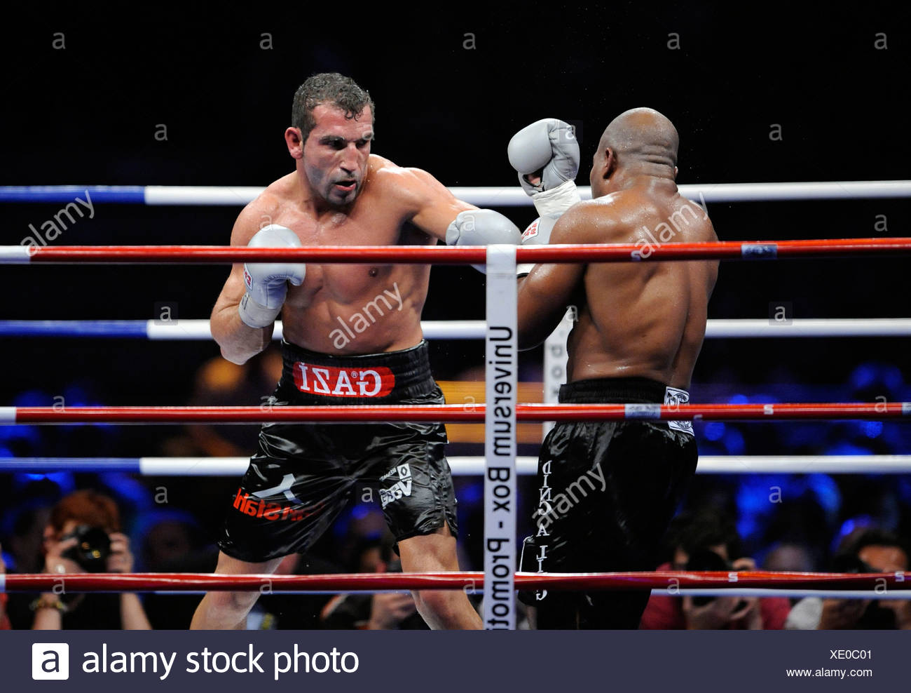 Darnell High Resolution Stock Photography and Images - Alamy