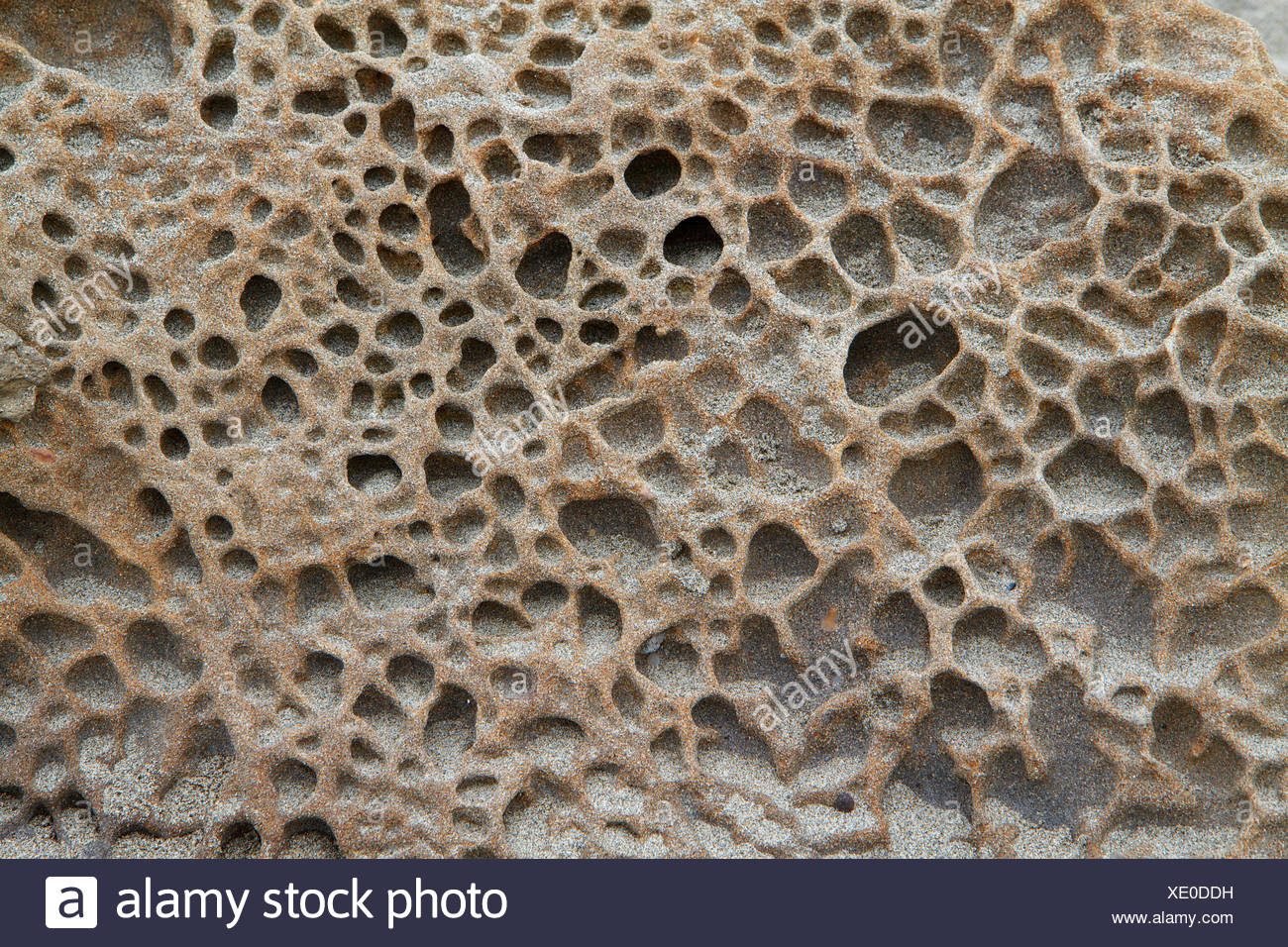 Pock Rock High Resolution Stock Photography and Images - Alamy