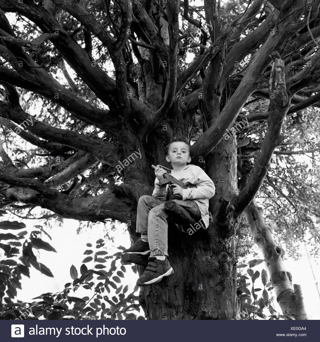 Tree Guard Stock Photos & Tree Guard Stock Images - Alamy