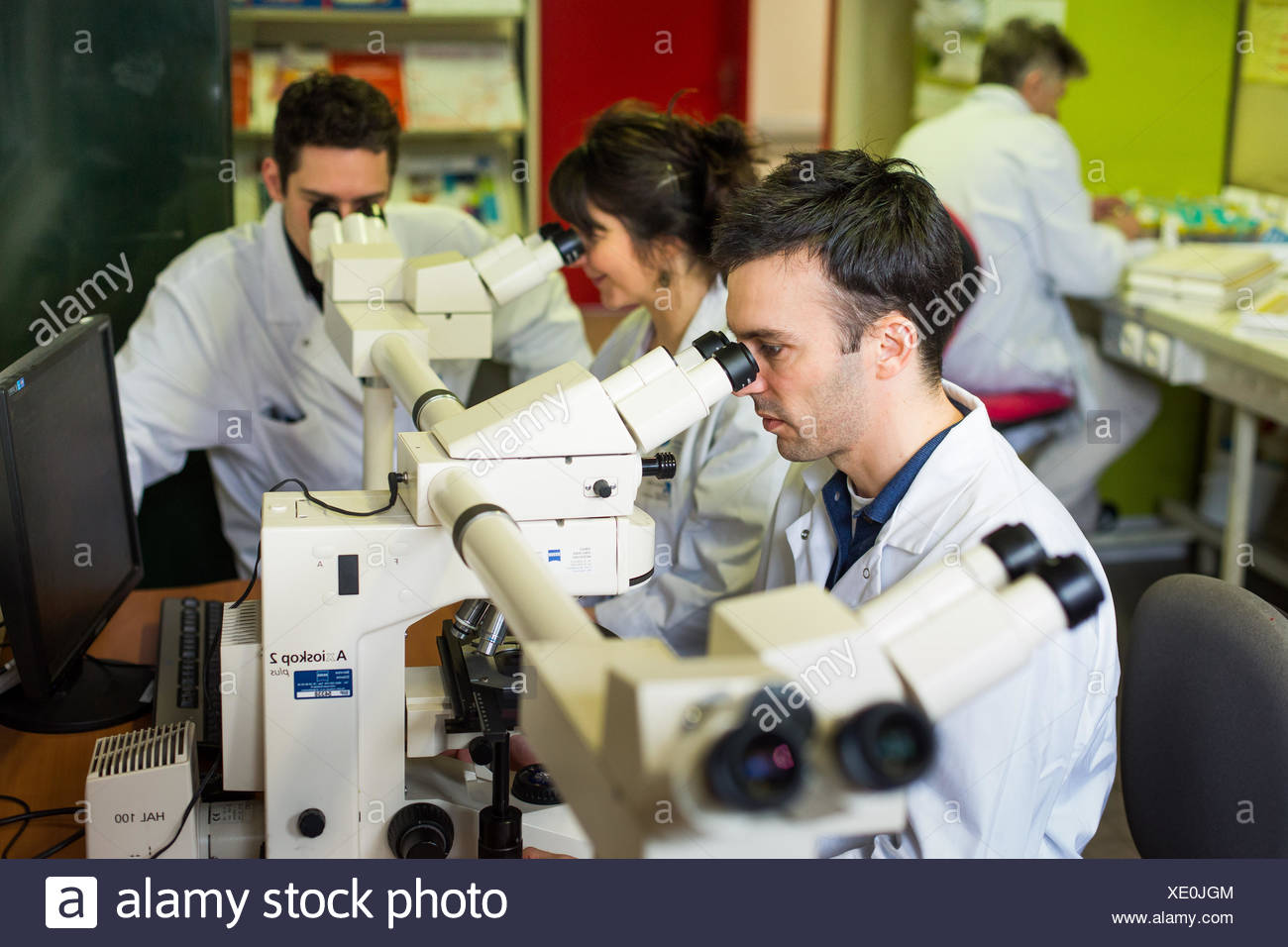 Pathoanatomy High Resolution Stock Photography and Images - Alamy