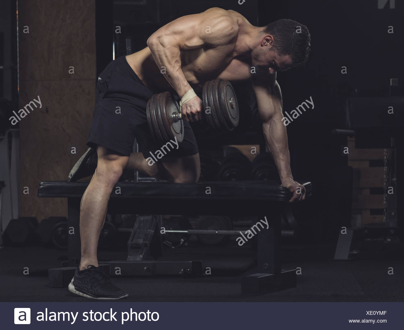 Human Back Muscles Stock Photos & Human Back Muscles Stock Images - Alamy