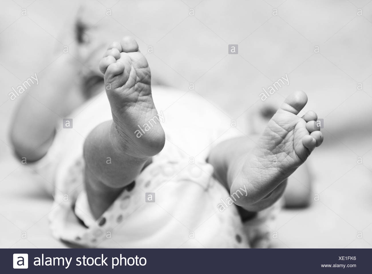 Feet Toes High Resolution Stock Photography and Images - Alamy