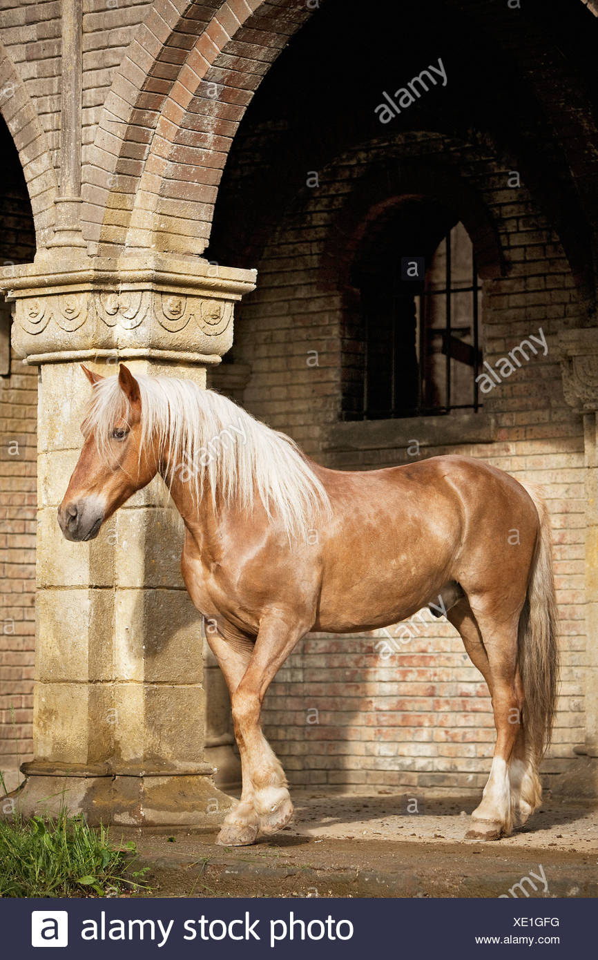 Archway High Resolution Stock Photography and Images - Alamy