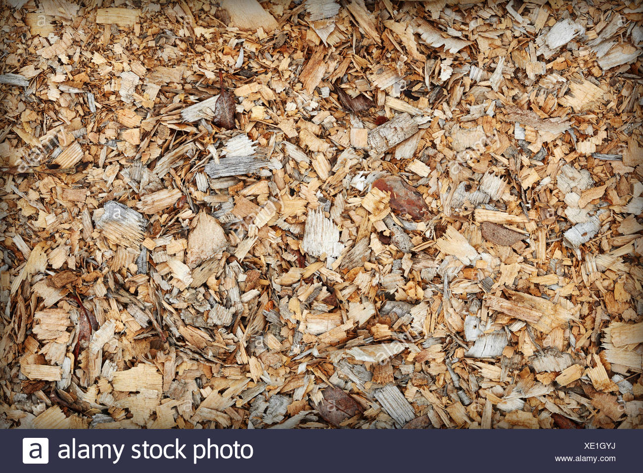 Images Of Rough Objects