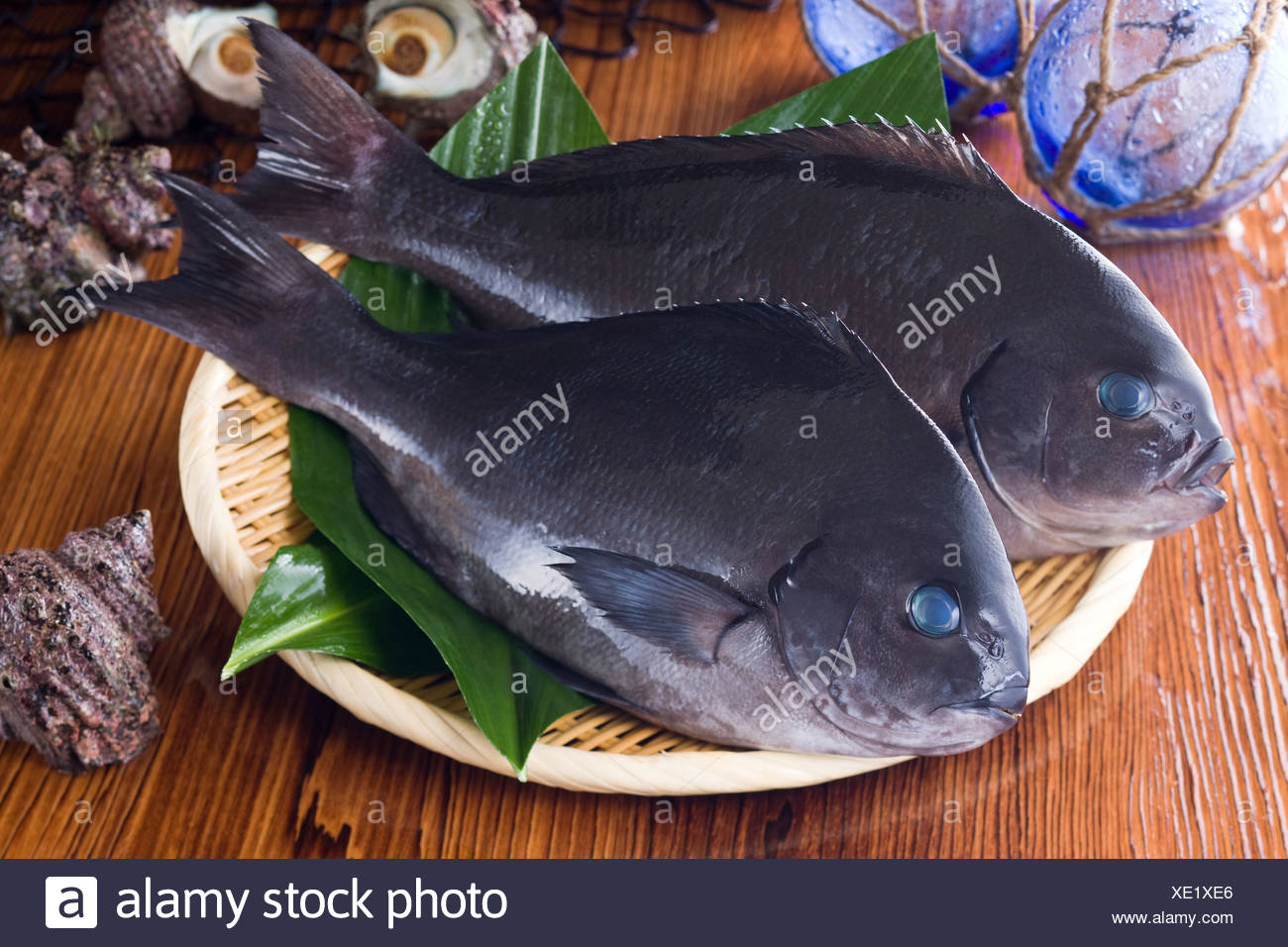 Largescale High Resolution Stock Photography and Images - Alamy