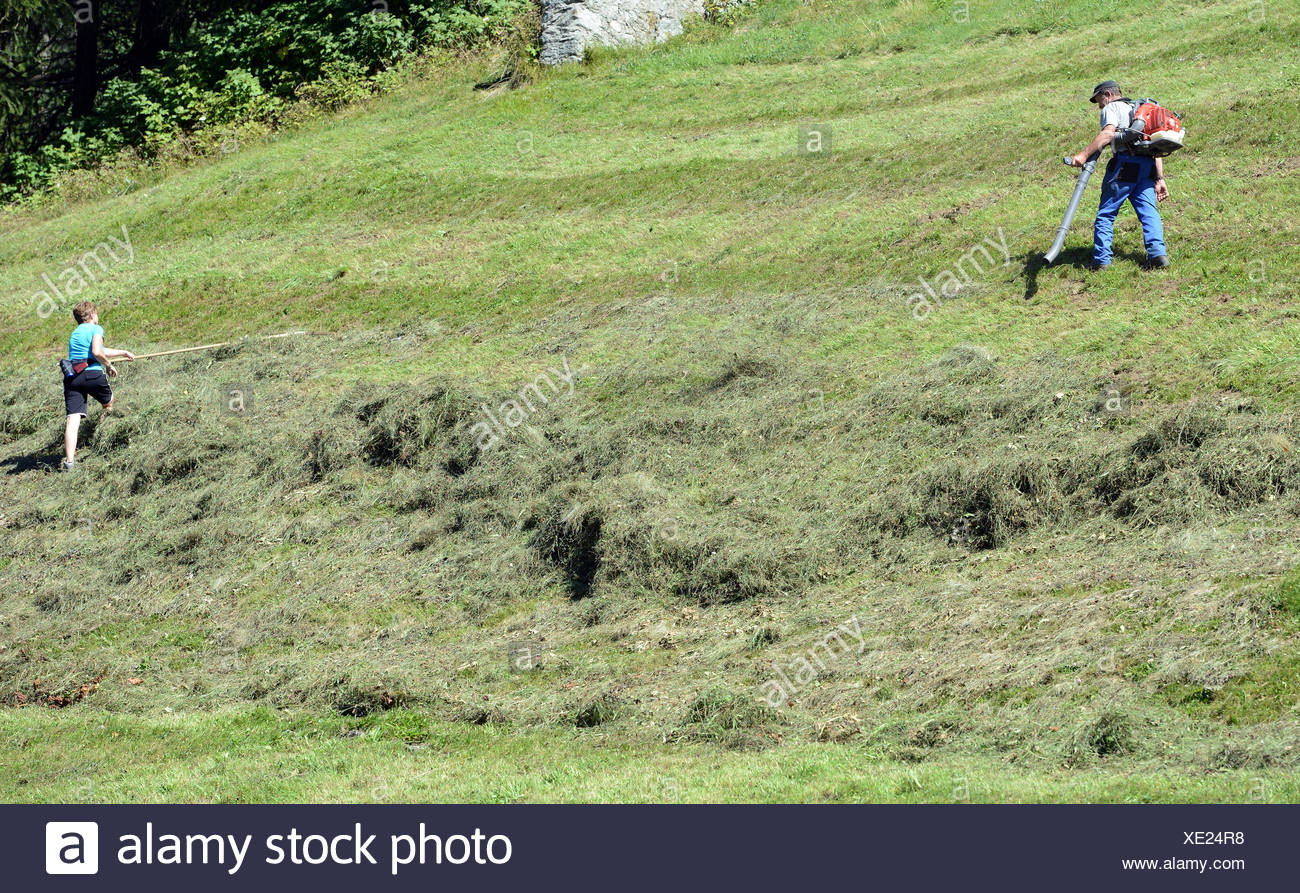 Jungbauer High Resolution Stock Photography and Images - Alamy