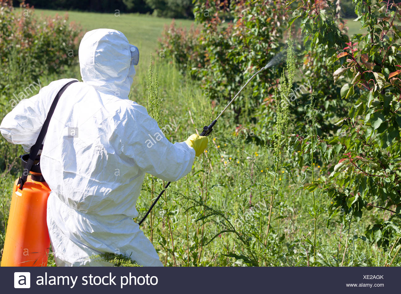 Chemical Insecticides Farming High Resolution Stock Photography and ...
