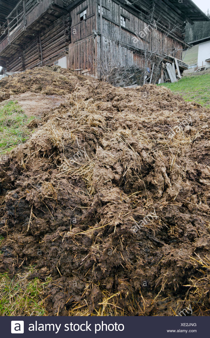 Dunghill Stock Photos & Dunghill Stock Images - Alamy