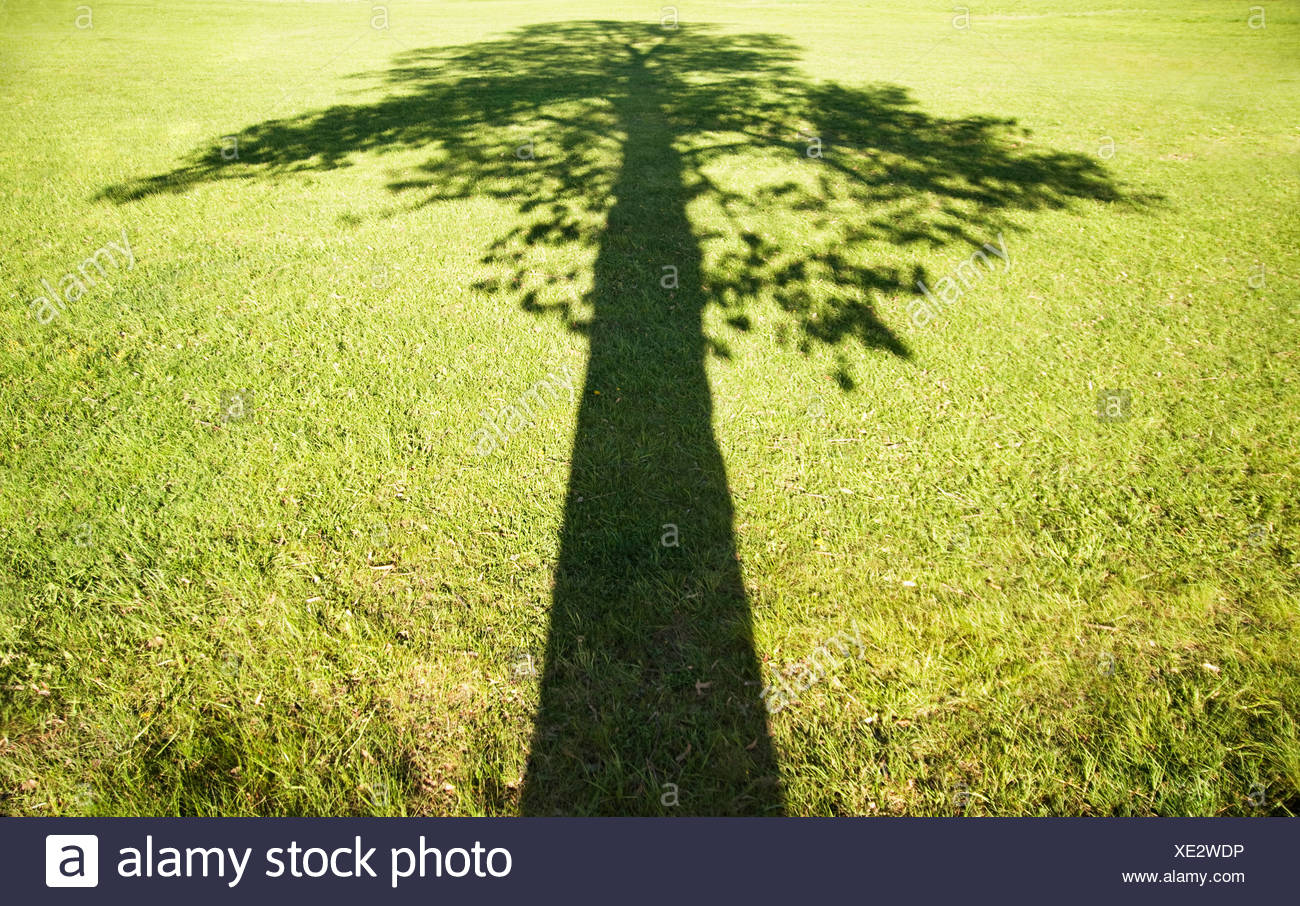 Me And My Shadow High Resolution Stock Photography and Images - Alamy