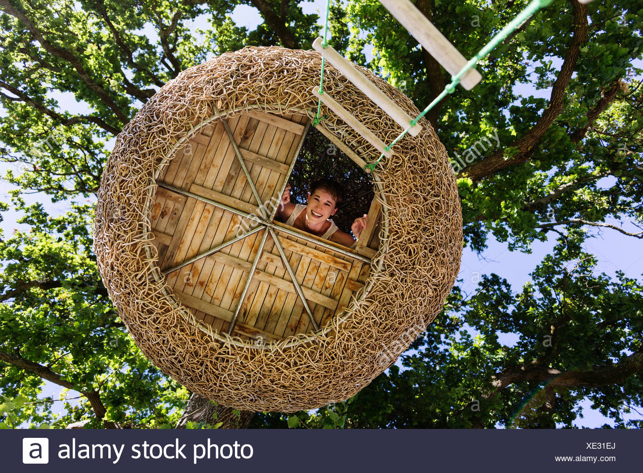 Woman Ladder Tree High Resolution Stock Photography and Images - Alamy