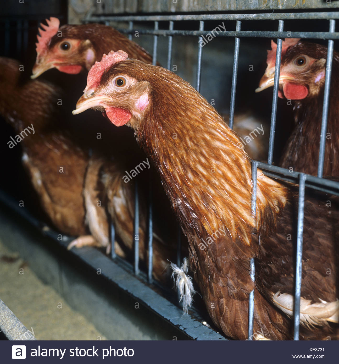 Battery Production High Resolution Stock Photography and Images - Alamy