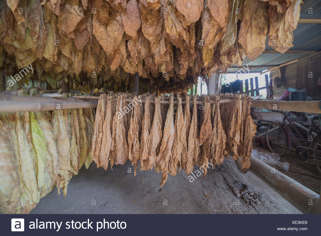 Tobacco Curing High Resolution Stock Photography and Images - Alamy