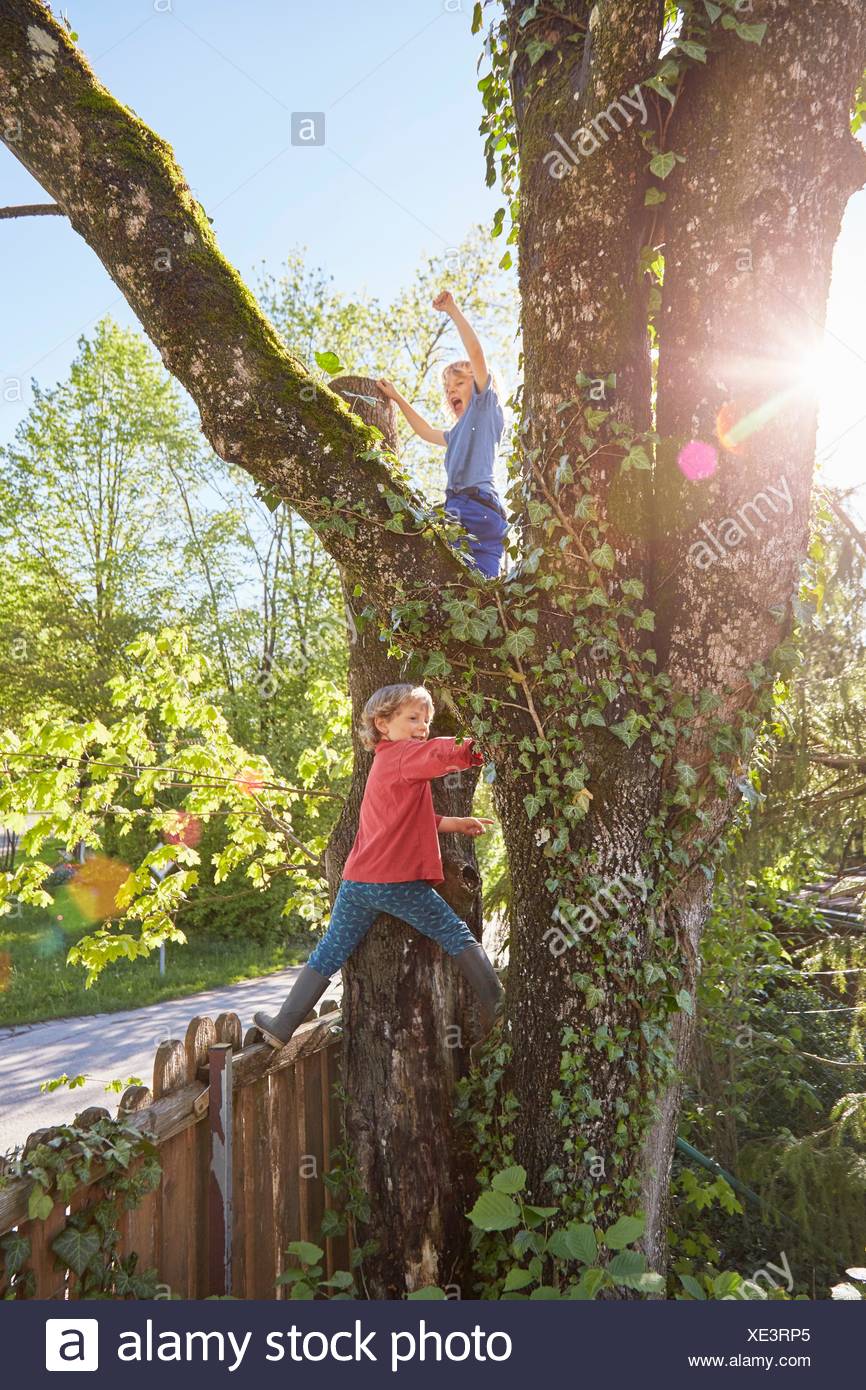 Boy Climbing Tree High Resolution Stock Photography and Images - Alamy