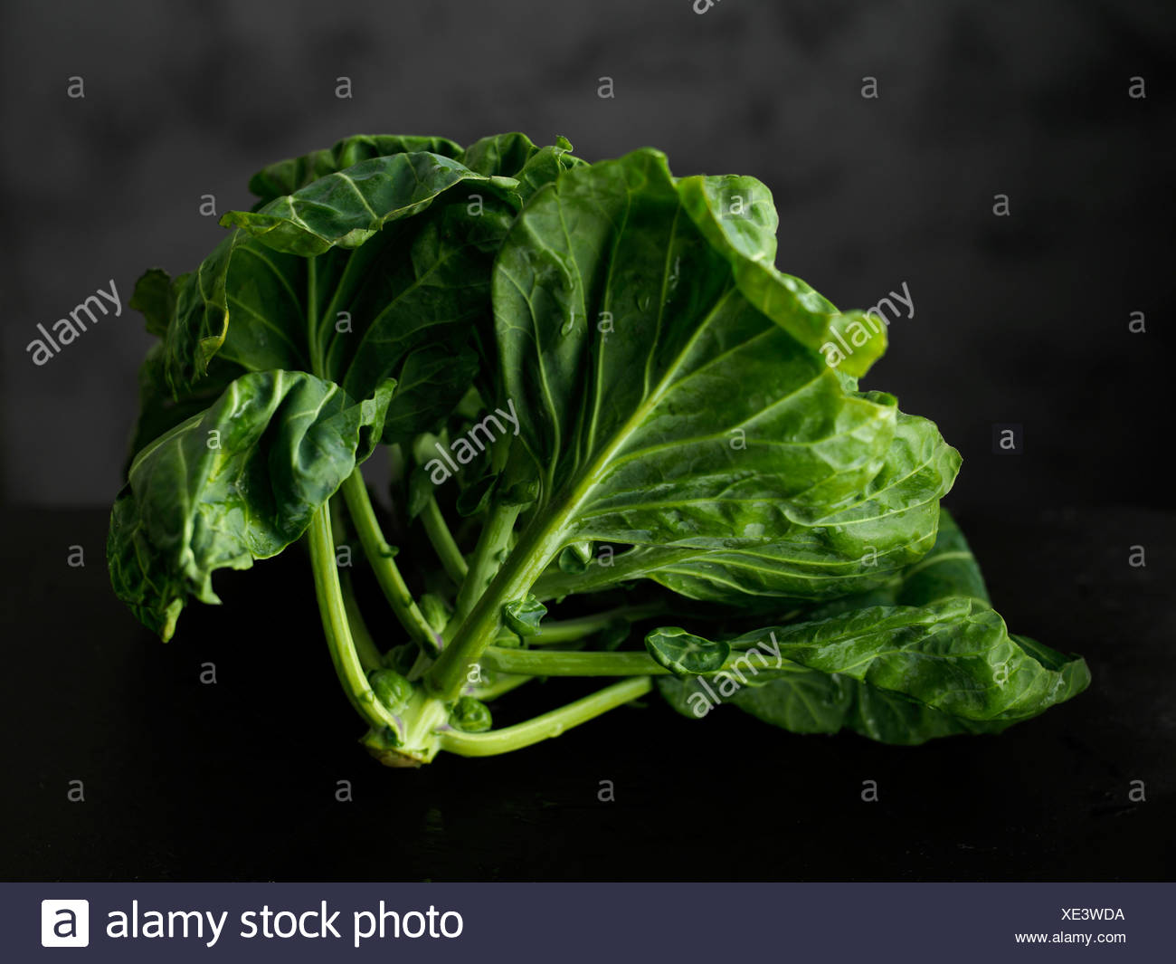 Sprout Tops High Resolution Stock Photography and Images - Alamy