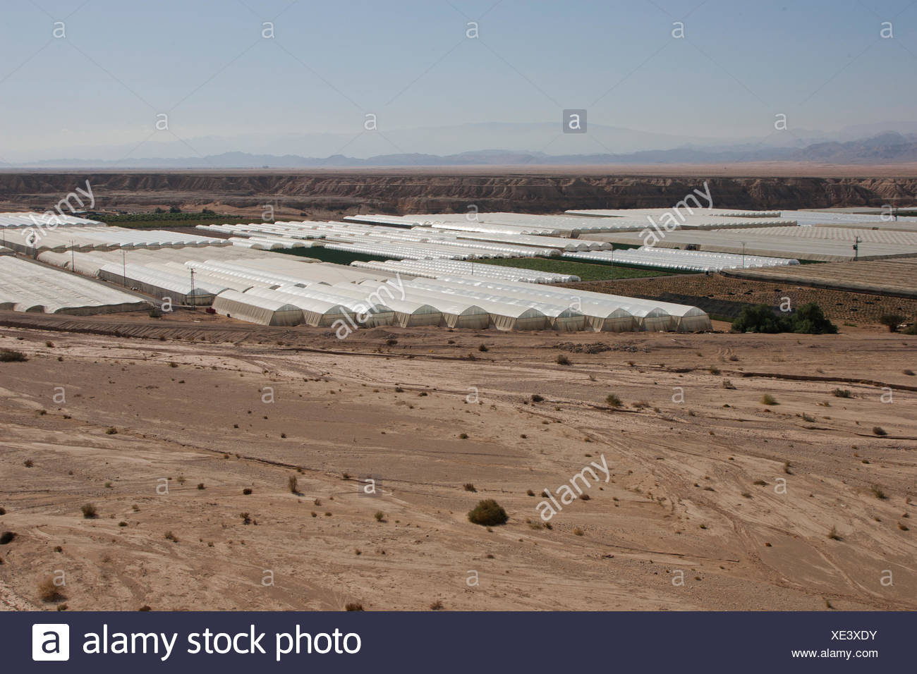 Israel Agriculture Stock Photos & Israel Agriculture Stock Images - Alamy