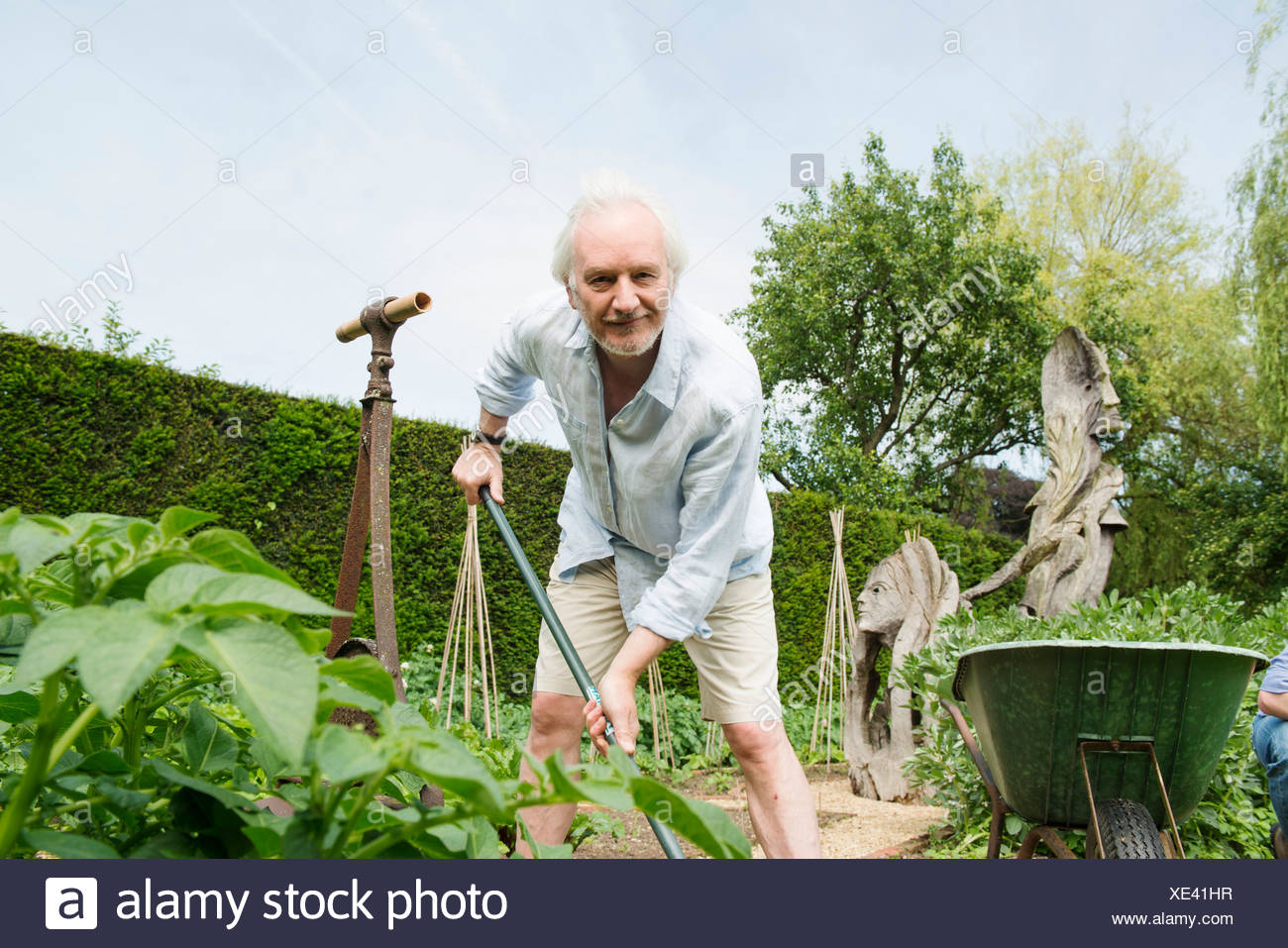 Old Man Gardening High Resolution Stock Photography and Images - Alamy