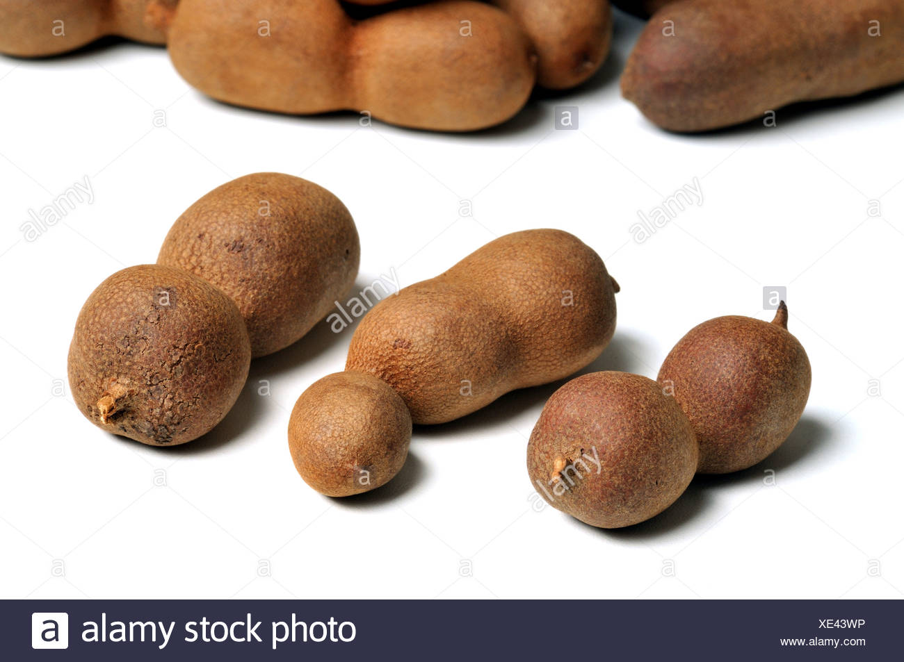 Tamarind Tamarindus Indica High Resolution Stock Photography and Images ...