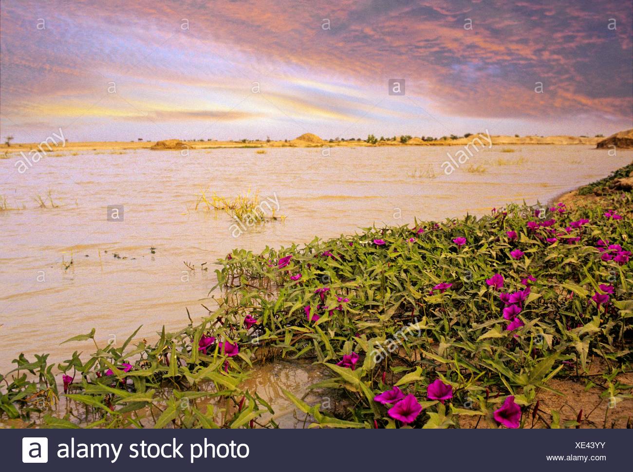 Lake Chad Africa Stock Photos & Lake Chad Africa Stock Images - Alamy