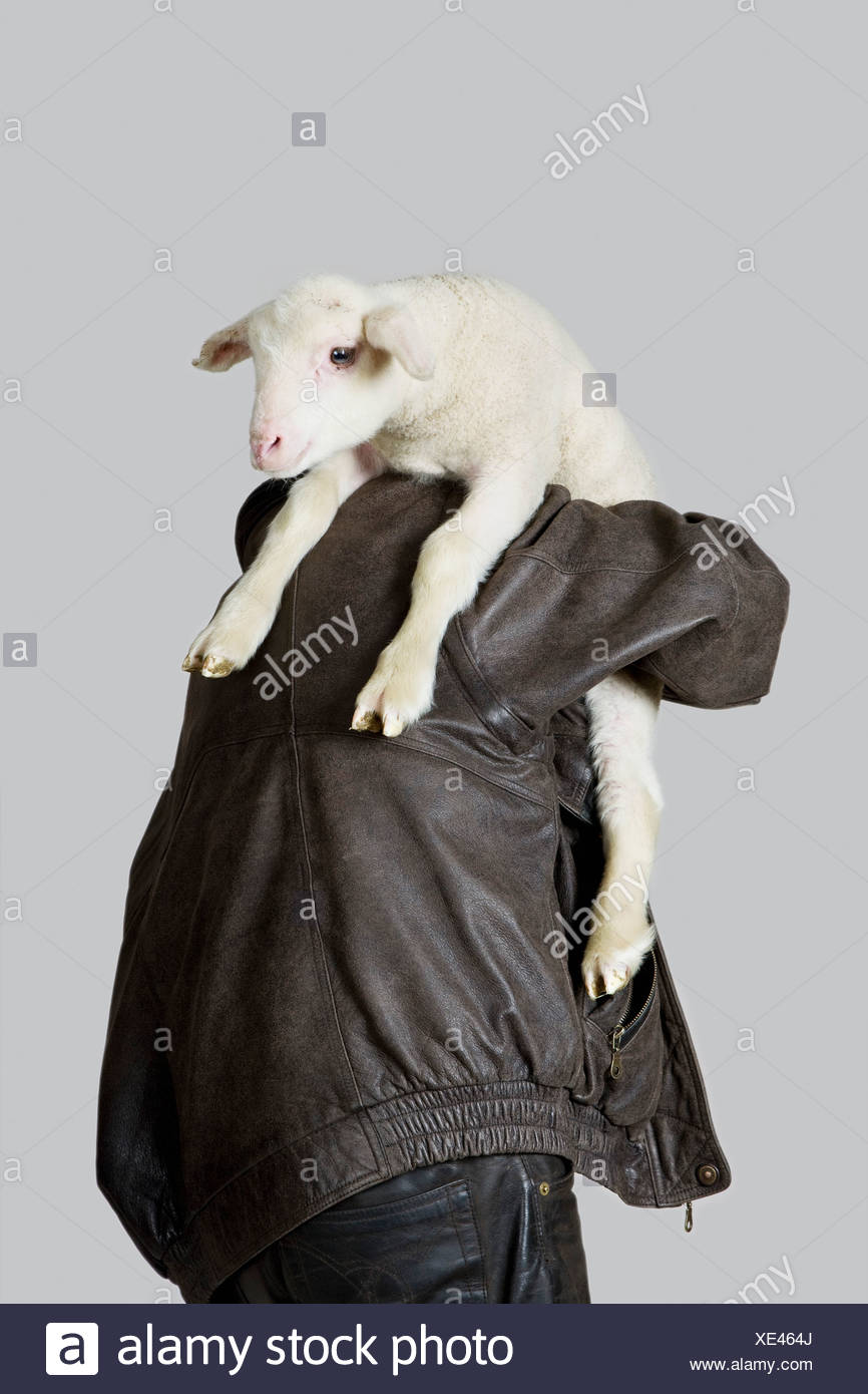 Carrying A Lamb Stock Photos & Carrying A Lamb Stock Images - Alamy