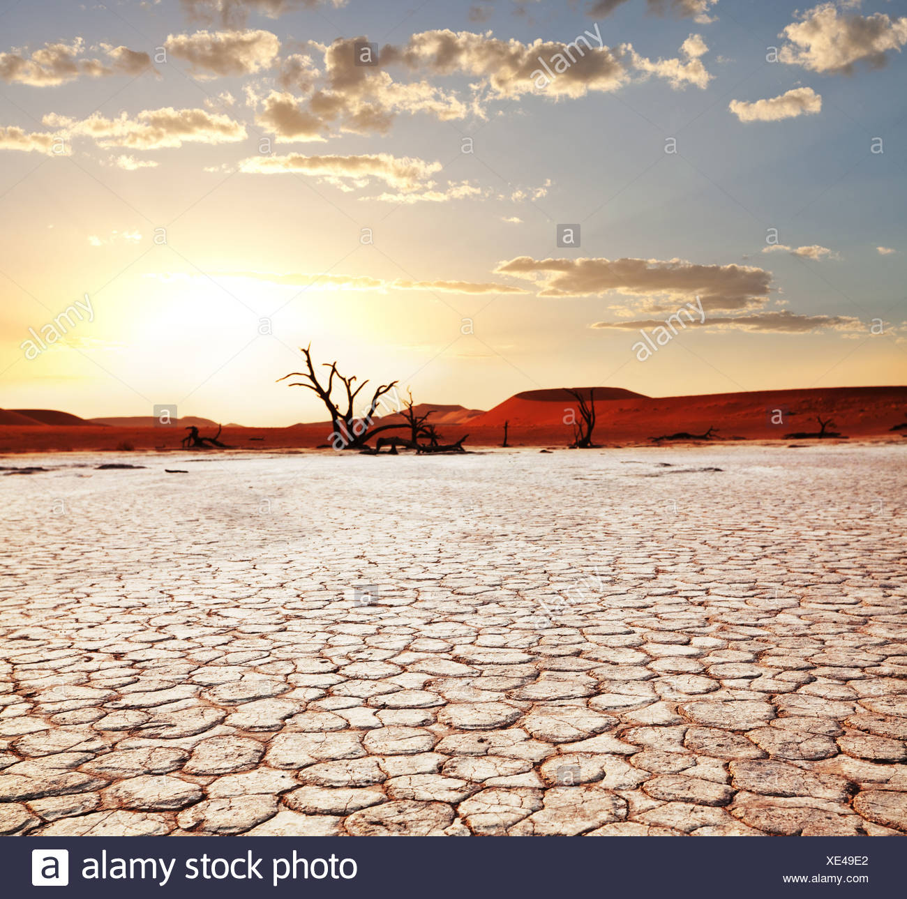 Dead Valley In Namibia Stock Photos & Dead Valley In Namibia Stock ...
