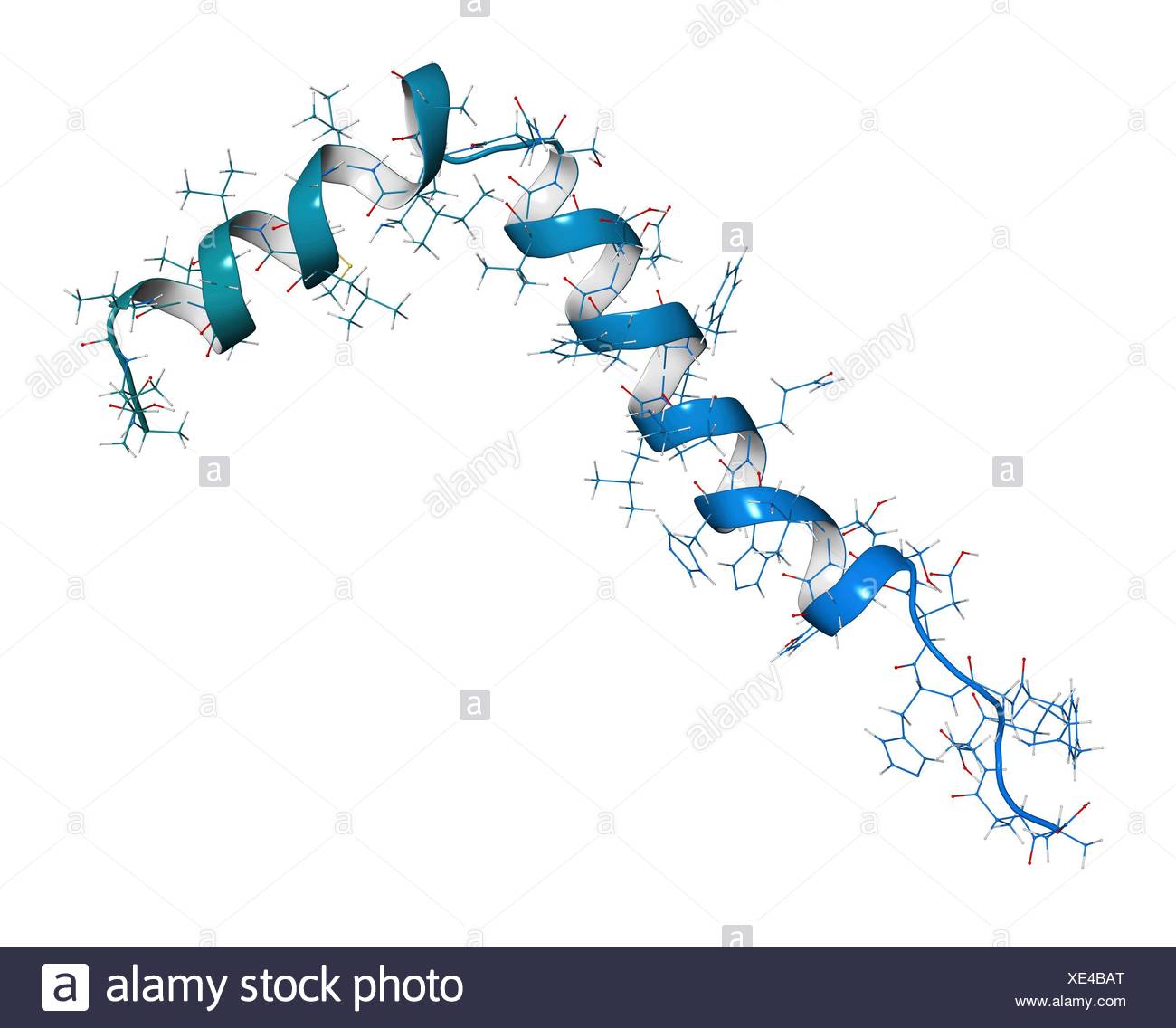 Beta Amyloid Plaque High Resolution Stock Photography and Images - Alamy