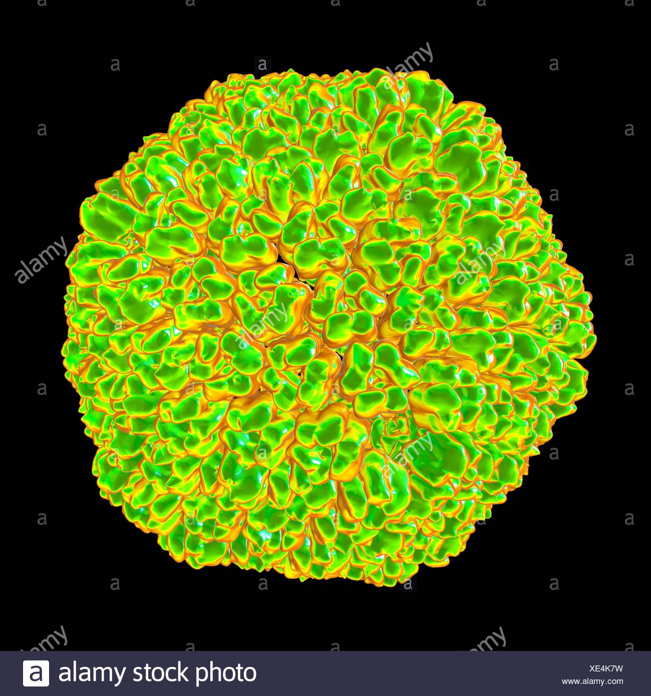 Sputnik Virophage Particle Stock Photos & Sputnik Virophage Particle ...