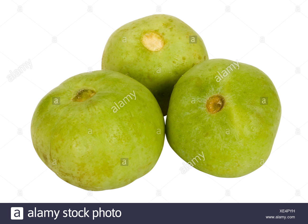 Tinda High Resolution Stock Photography and Images - Alamy