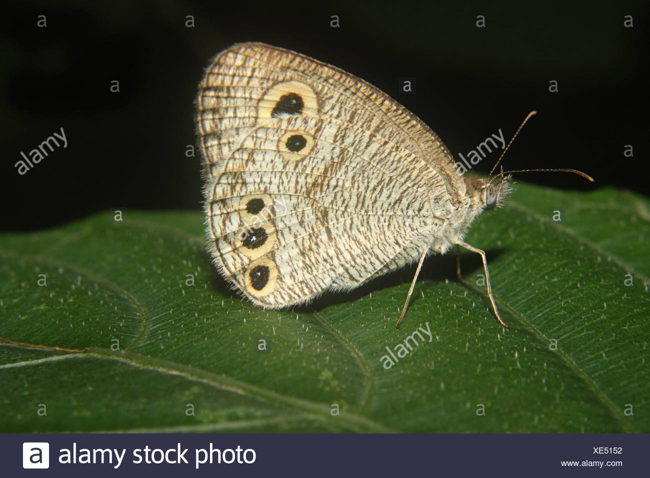 Four Provinces High Resolution Stock Photography and Images - Alamy