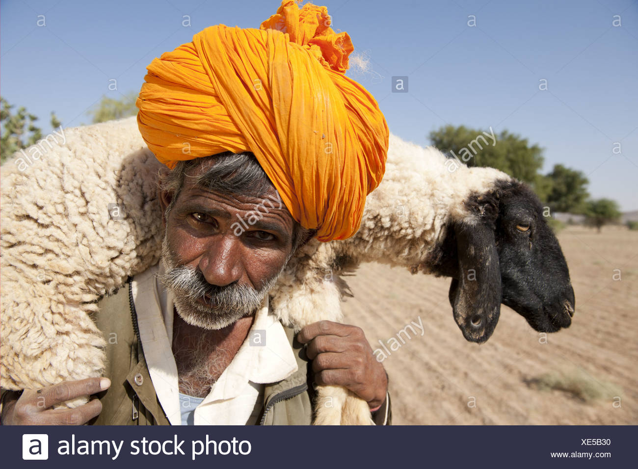 Animal Heads On Humans High Resolution Stock Photography and Images - Alamy