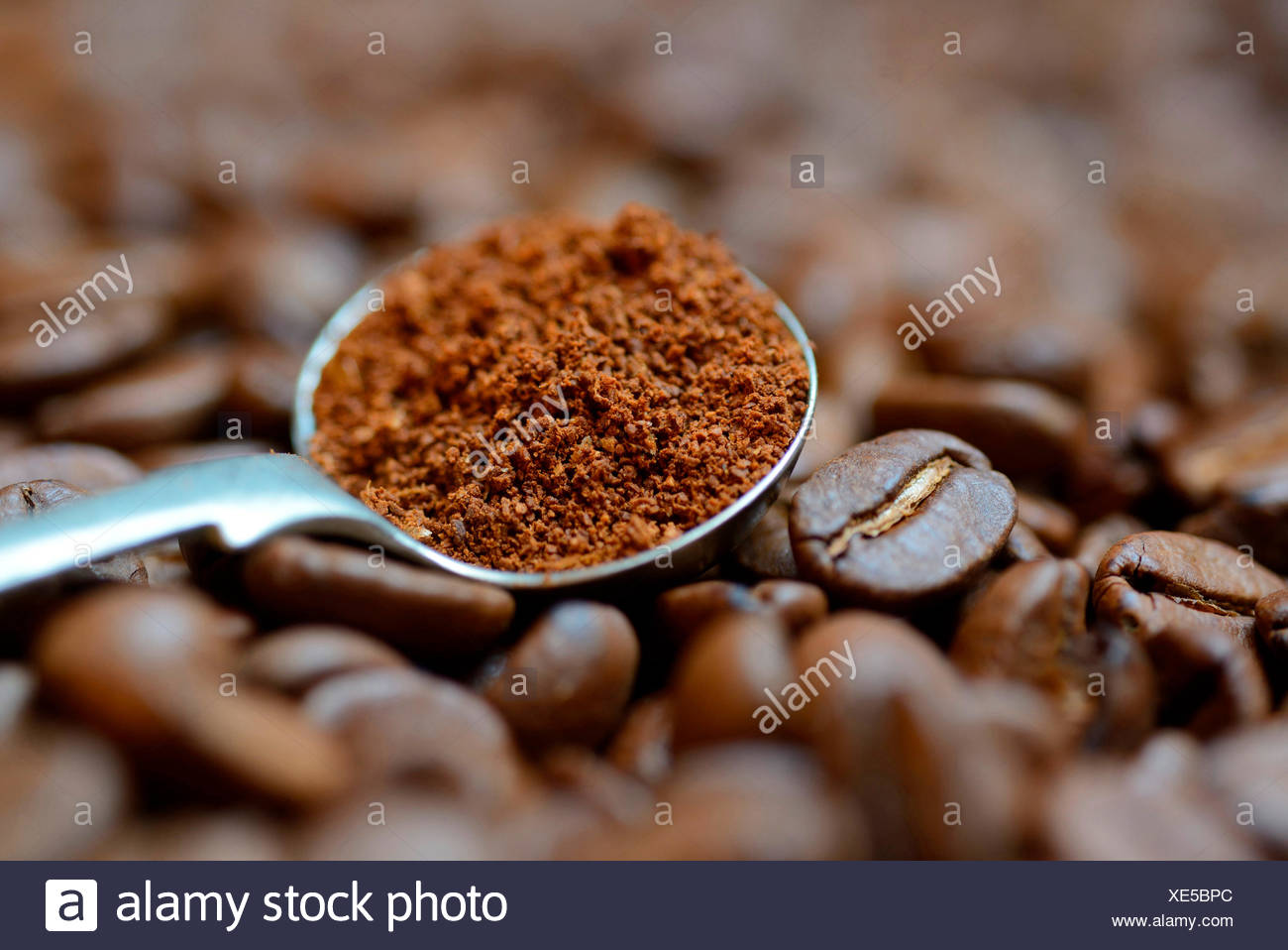 Ladle Bean High Resolution Stock Photography and Images - Alamy