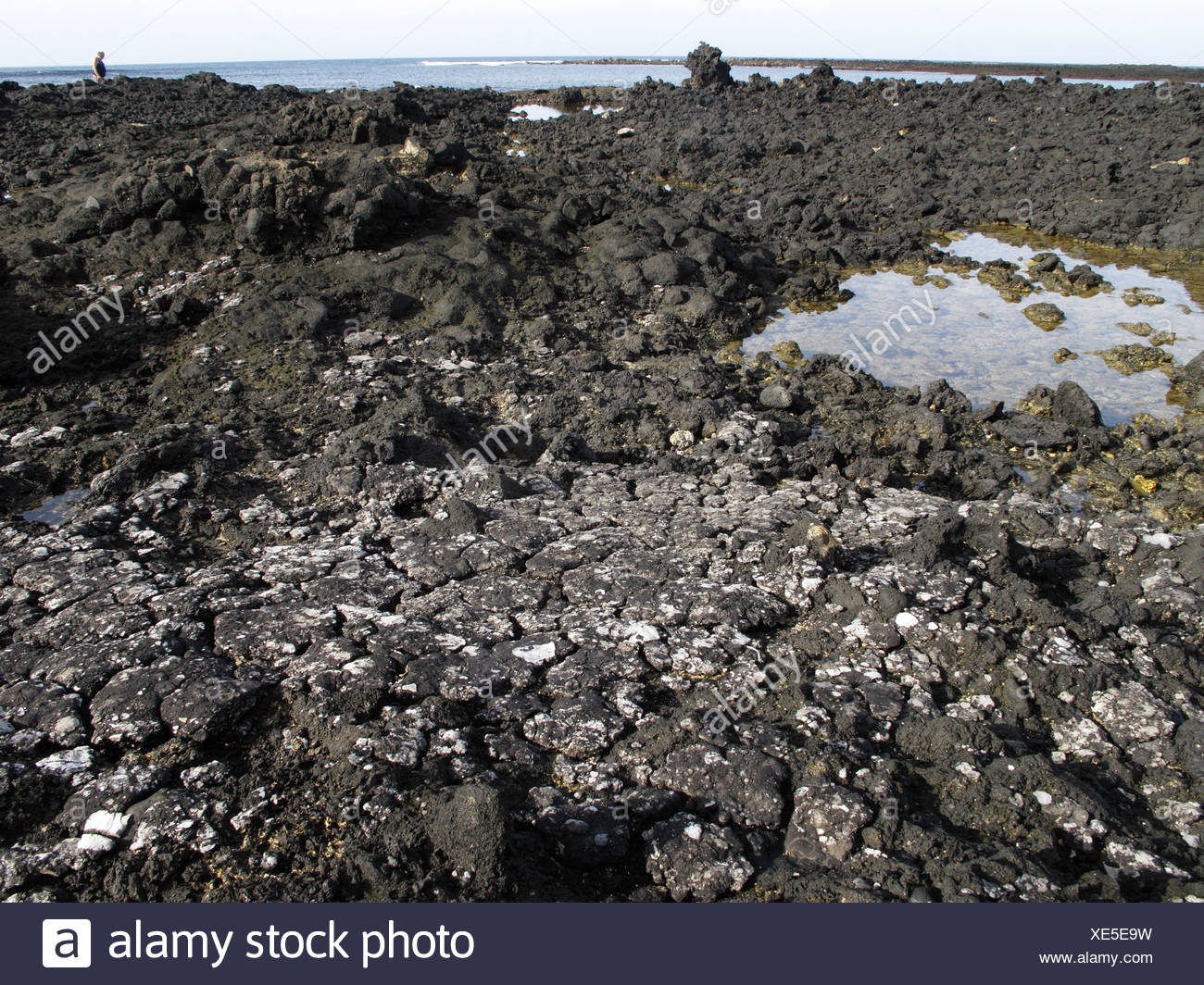 Oil Spill High Resolution Stock Photography and Images - Alamy