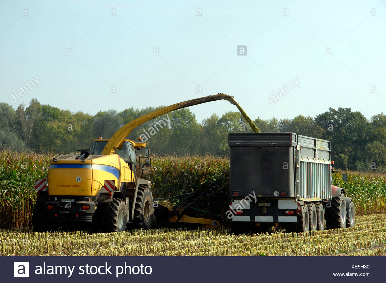 Tractor Harvesting Corn High Resolution Stock Photography and Images ...