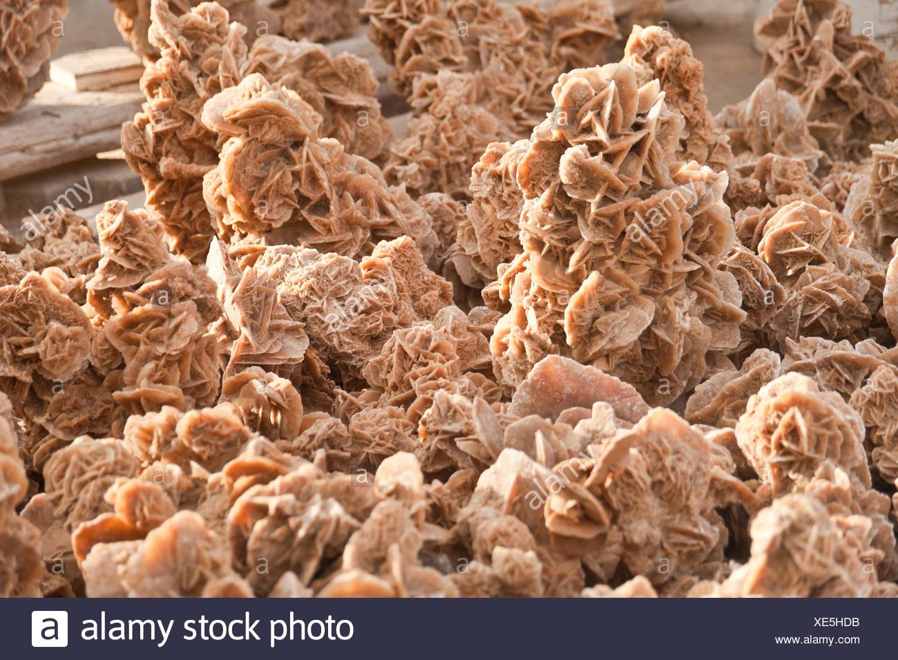 Desert Rose High Resolution Stock Photography and Images - Alamy