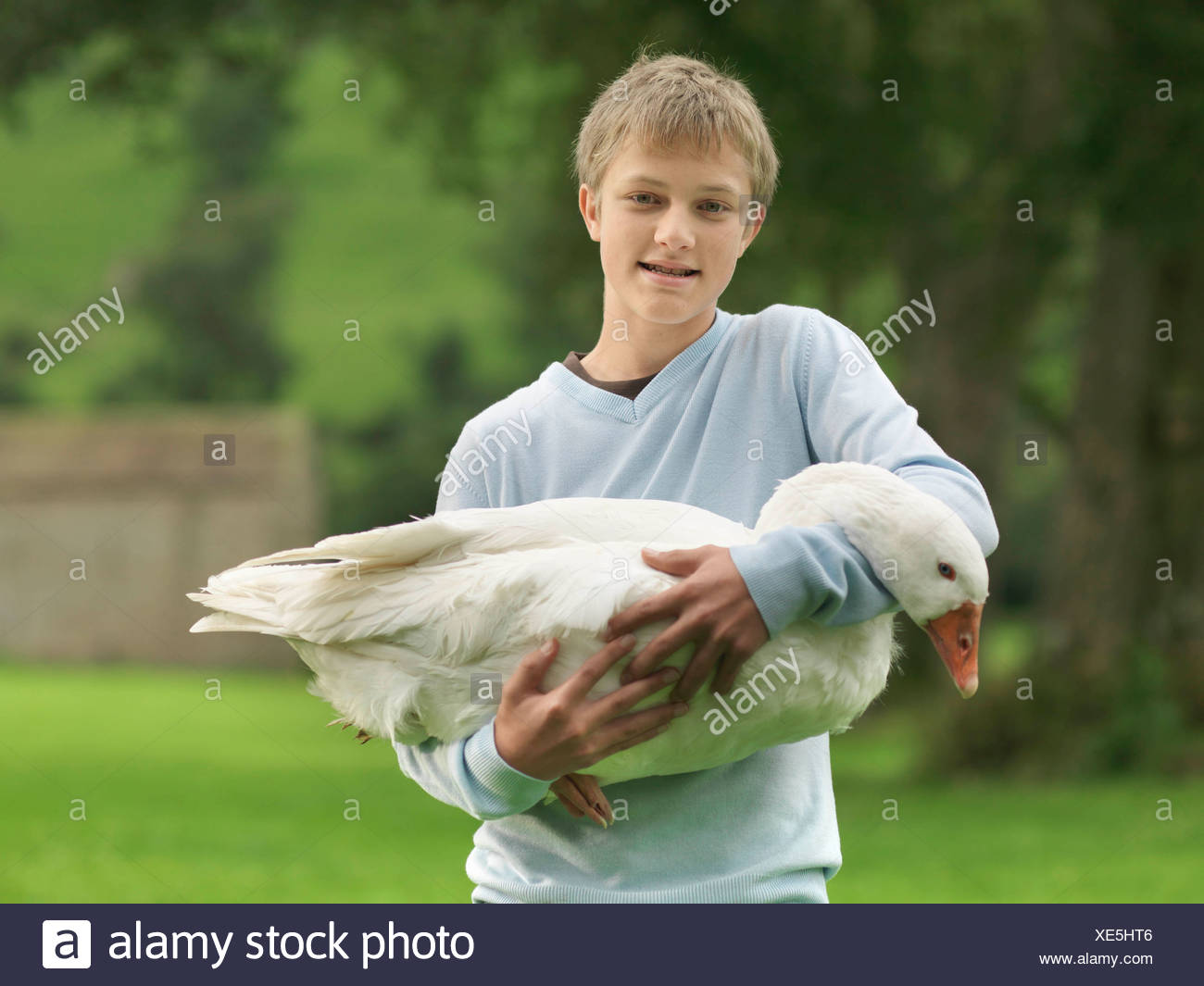 Boy Holding Bird High Resolution Stock Photography and Images - Alamy