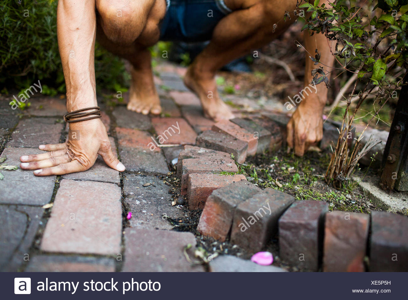 Man Pulling Weeds High Resolution Stock Photography and Images - Alamy