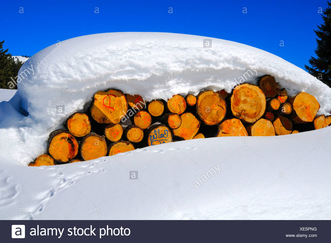 Holzscheit High Resolution Stock Photography and Images - Alamy