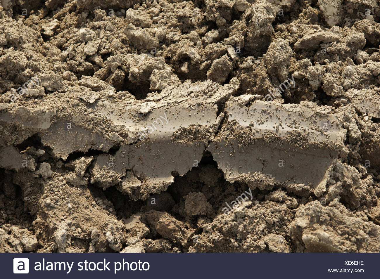 Loamy Soil Stock Photos & Loamy Soil Stock Images - Alamy