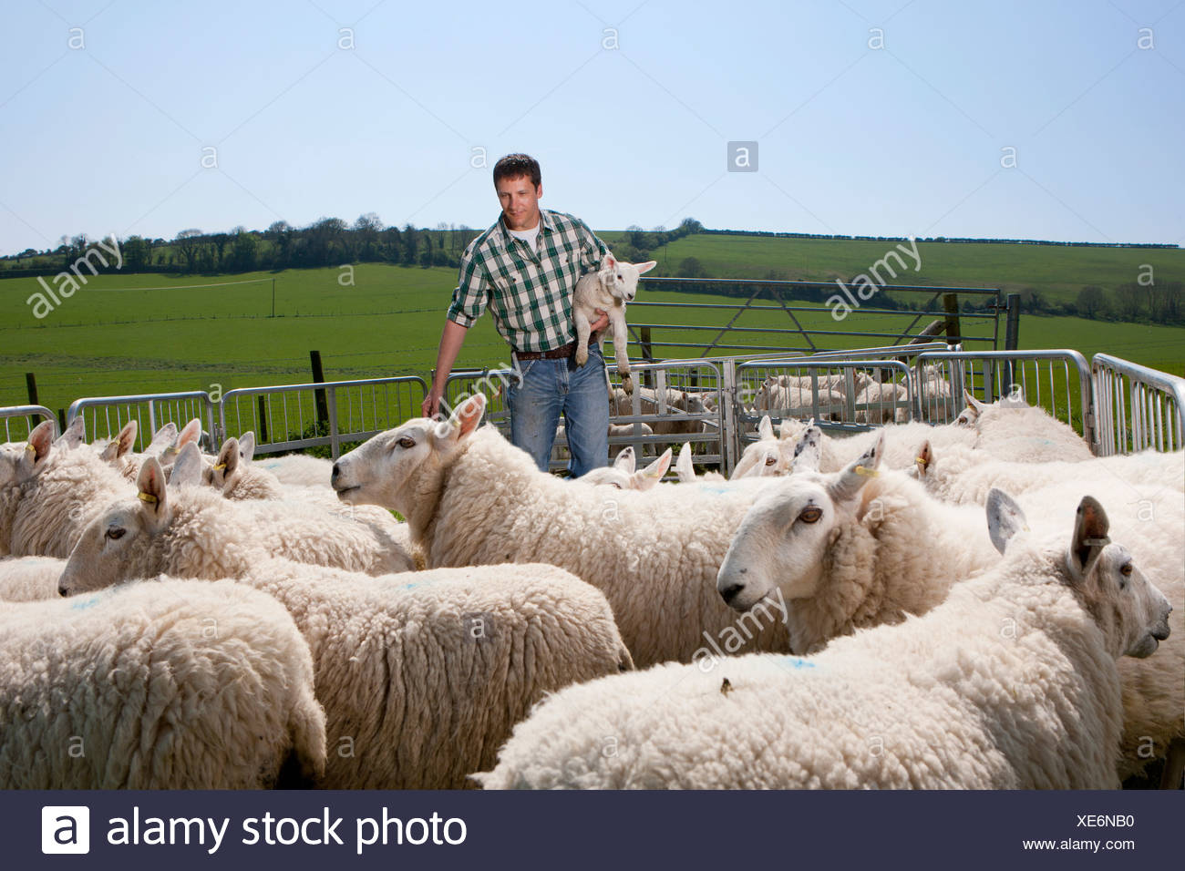 Young Shepherd Stock Photos & Young Shepherd Stock Images - Alamy