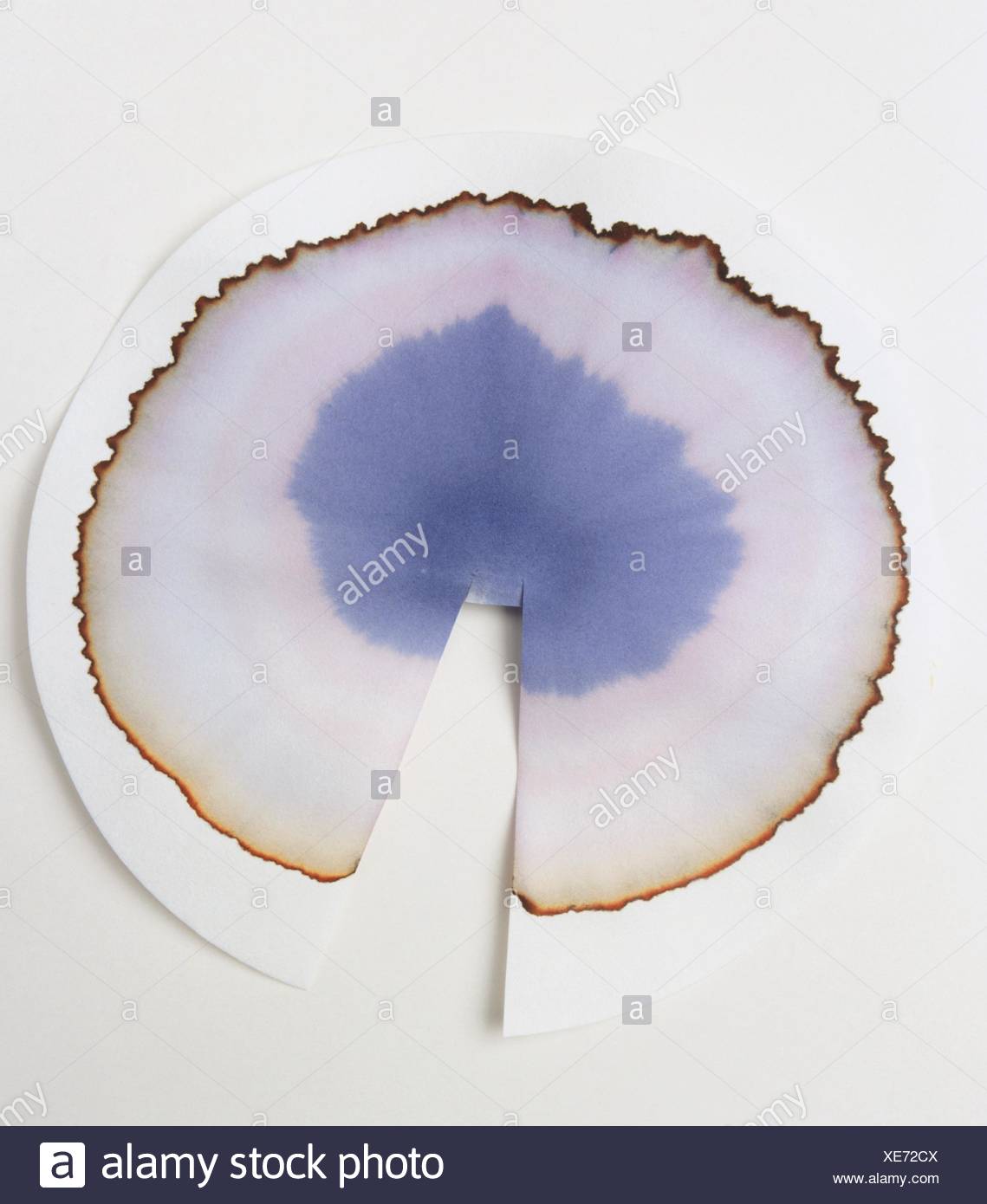 Paper Chromatography High Resolution Stock Photography and Images - Alamy